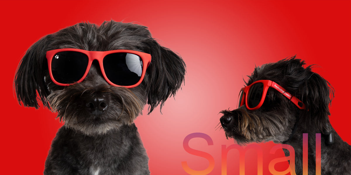 Kaykod Dog Shades